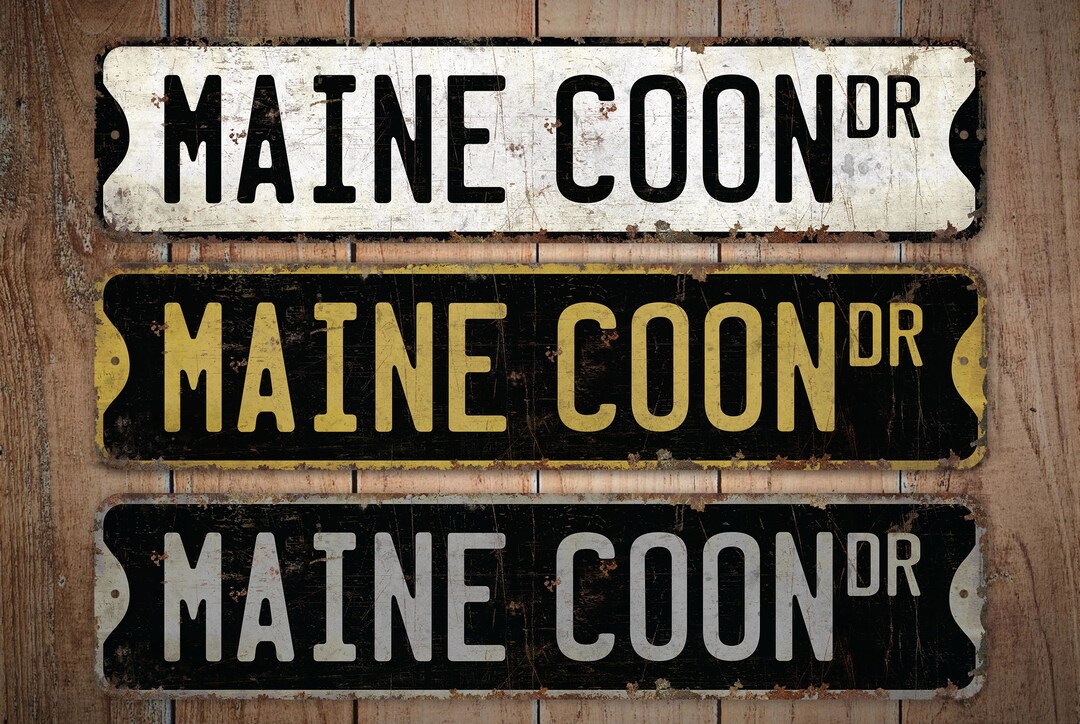 Maine Coon - Maine Coon Cat - Maine Coon Sign - Cat Lover Gif - Vintage ...