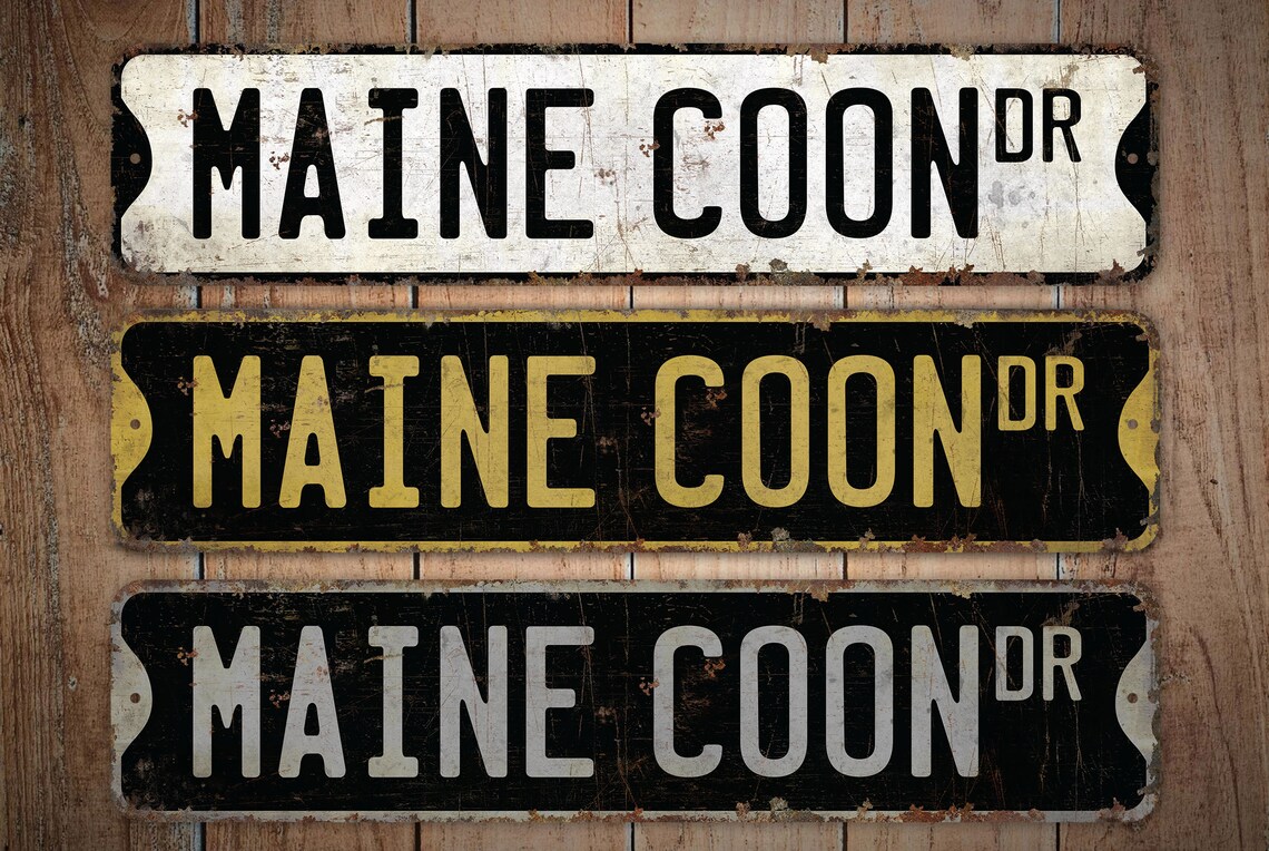 Maine Coon - Maine Coon Cat - Maine Coon Sign - Cat Lover Gif - Vintage ...