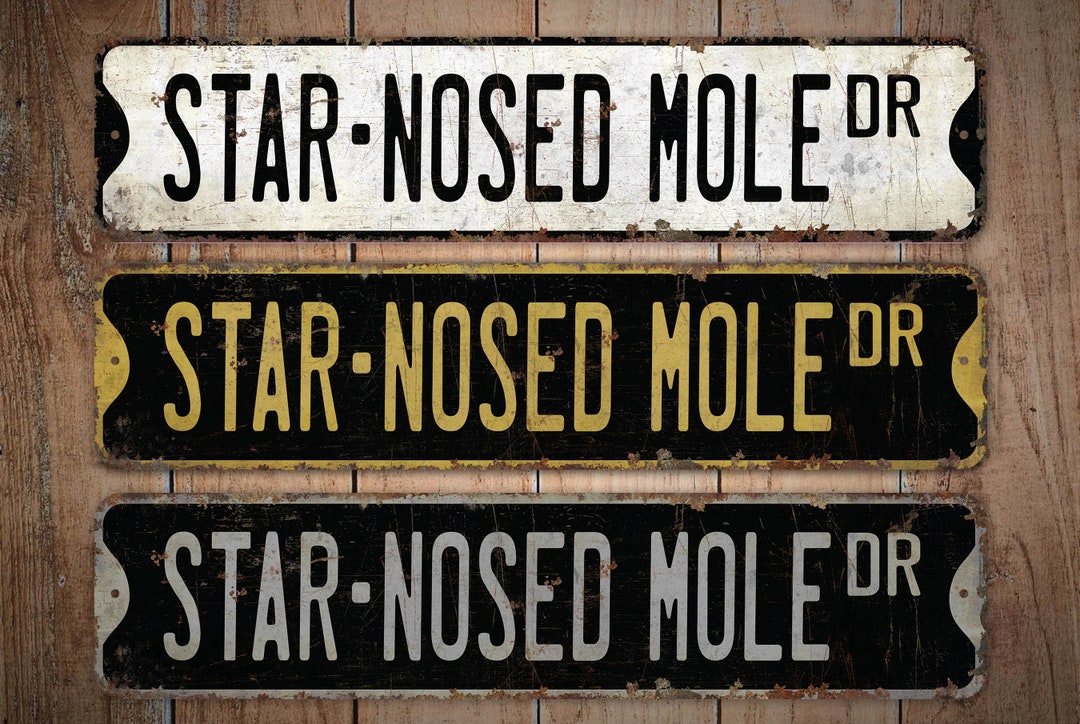 Star Nosed Mole - Star Nosed Mole Sign - Star Nosed Mole Decor - Mole ...