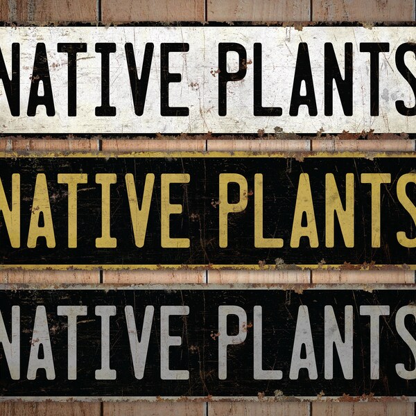 Native Plant - Etsy