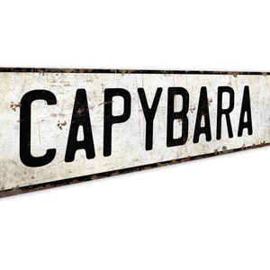 Capybara - Capybara Sign - Capybara Decor - Vintage Style Sign - Custom ...