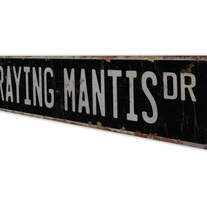 Praying Mantis - Praying Mantis Sign - Praying Mantis Decor - Praying ...