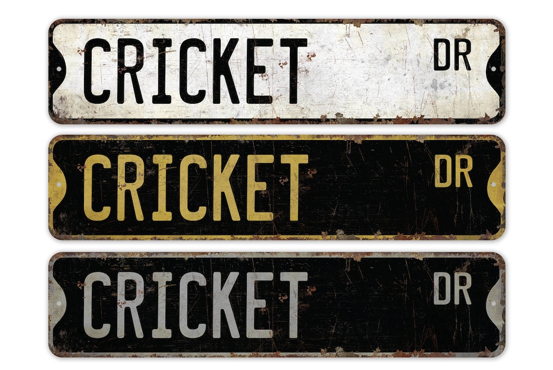 Cricket - Cricket Sign - Cricket Game Sign - Cricket Decor - Custom ...