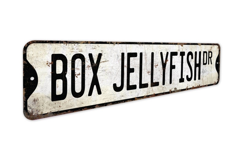 Box Jellyfish - Box Jellyfish Sign - Box Jellyfish Decor - Vintage ...
