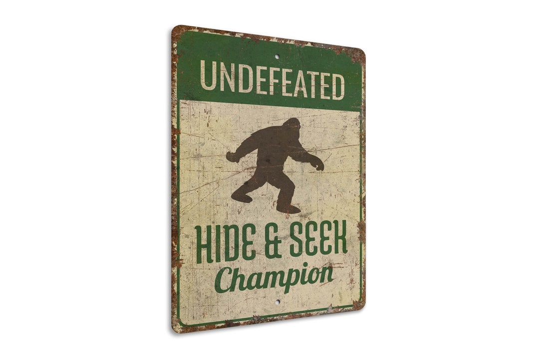 Hide and Seek Champion - Hide Seek Champion - Hide and Seek - Champion ...