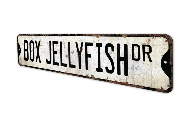 Box Jellyfish - Box Jellyfish Sign - Box Jellyfish Decor - Vintage ...