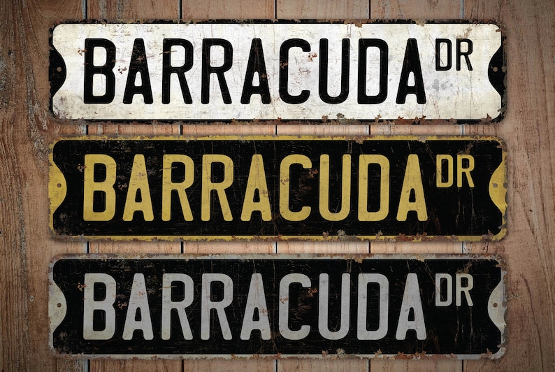 Barracuda Barracuda Sign Barracuda Decor Vintage Style - Etsy