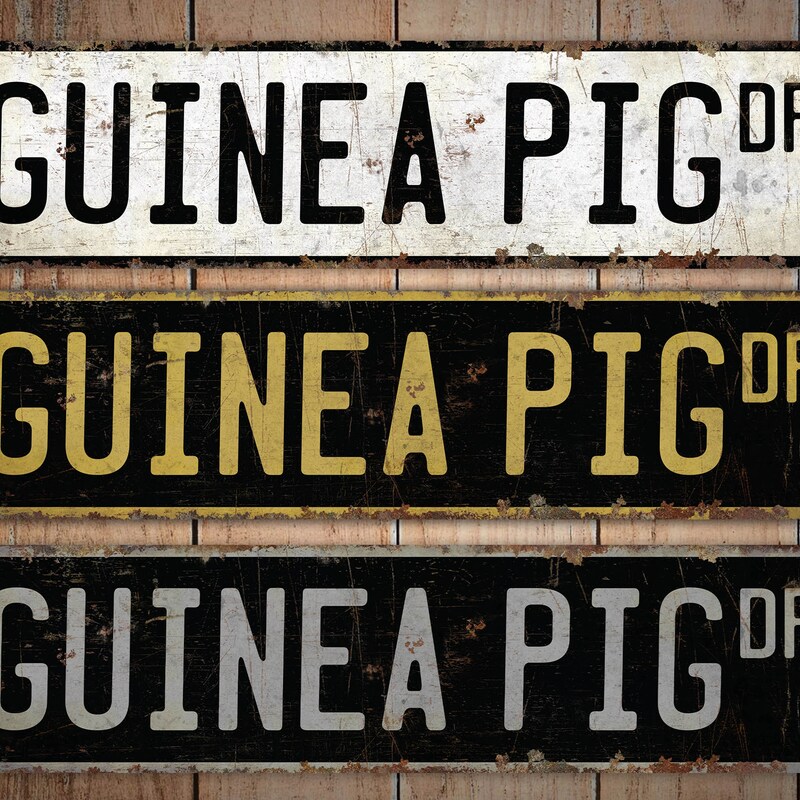 Guinea Pig House - Etsy