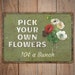 Pick Your Own Sunflowers Pick Sunflowers Sign Pick Sunflowers Vintage ...
