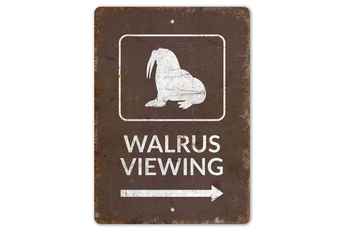 Walrus Viewing - Walrus Viewing Sign - Walrus Lover Gift - Walrus ...