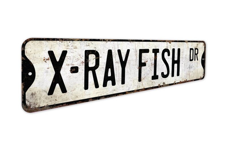 X-ray Fish - X-ray Fish Sign - X-ray Fish Decor - X-ray Fish Lover ...