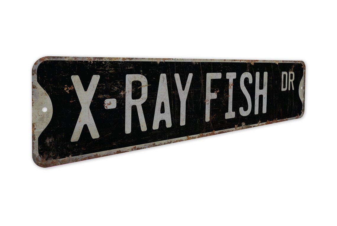 X-ray Fish X-ray Fish Sign X-ray Fish Decor X-ray Fish - Etsy