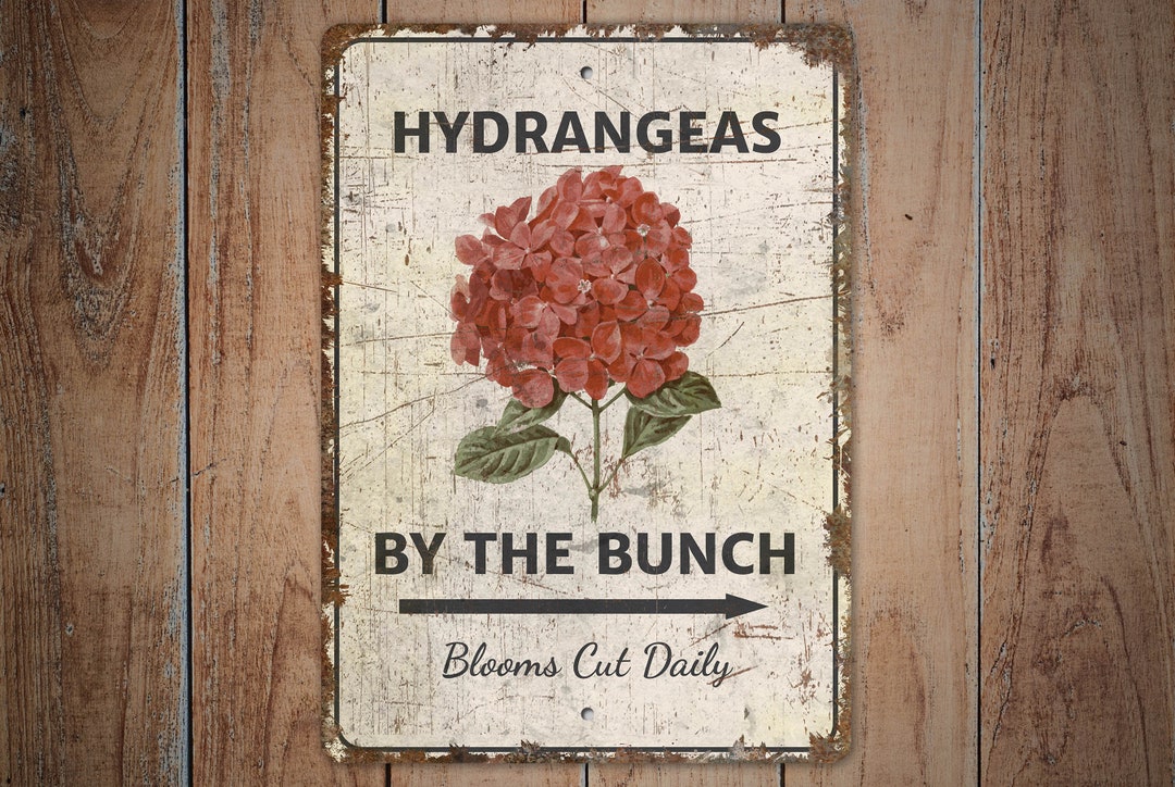 Hydrangeas Fresh Hydrangeas Fresh Hydrangeas Sign Fresh Hydrangeas ...