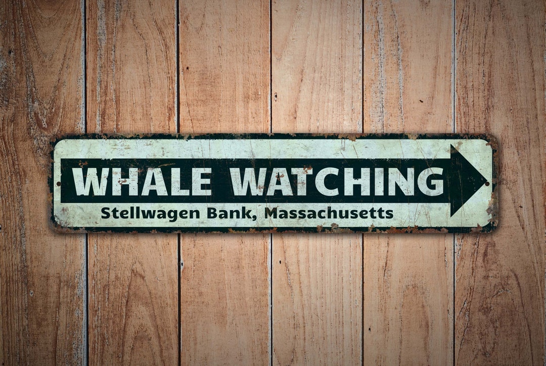 Whale Watching Sign - Beach Arrow Sign - Whale Watching - Whale ...