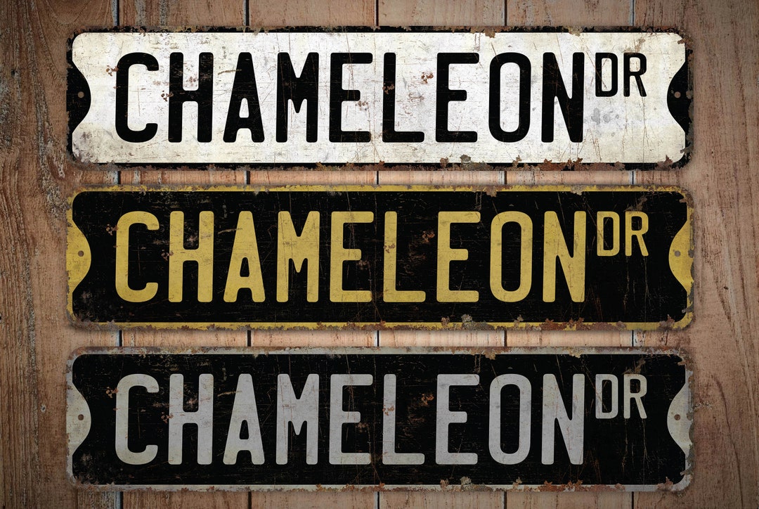 Chameleon Chameleon Sign Chameleon Decor Vintage Style Sign Custom ...