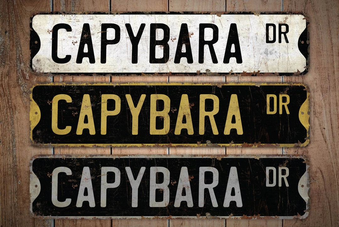 Capybara - Capybara Sign - Capybara Decor - Vintage Style Sign - Custom ...
