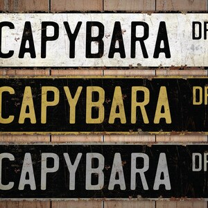 Capybara - Capybara Sign - Capybara Decor - Vintage Style Sign - Custom ...