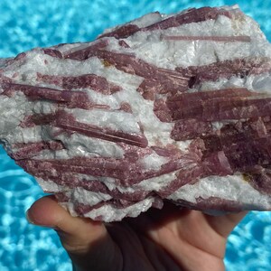 Rare COLLECTORS CRYSTAL Specimen * Pink Tourmaline in Icy Blue ...