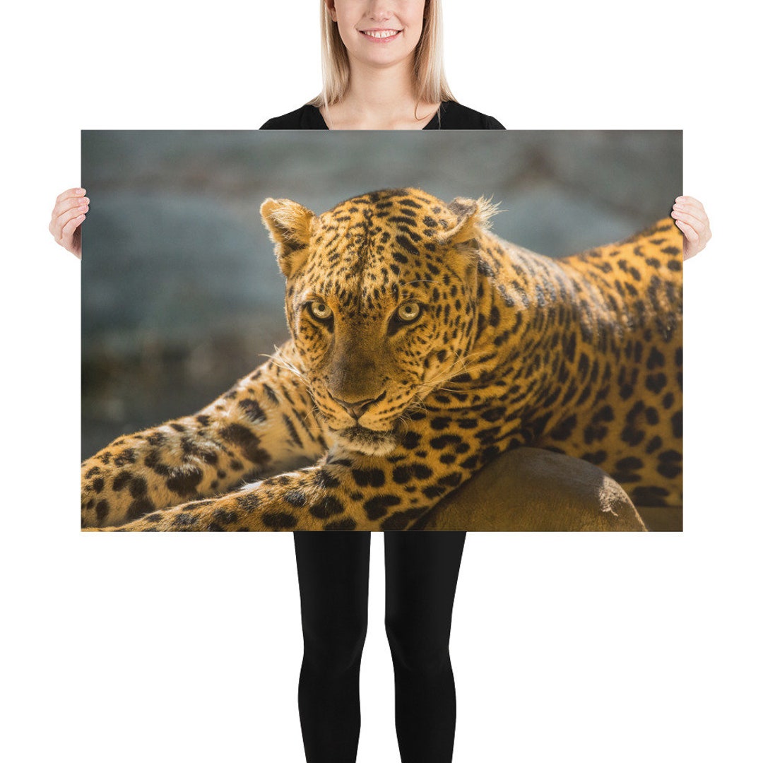 Leopard Print, Leopard Poster, Leopard, Poster Print, Poster Wall Art ...