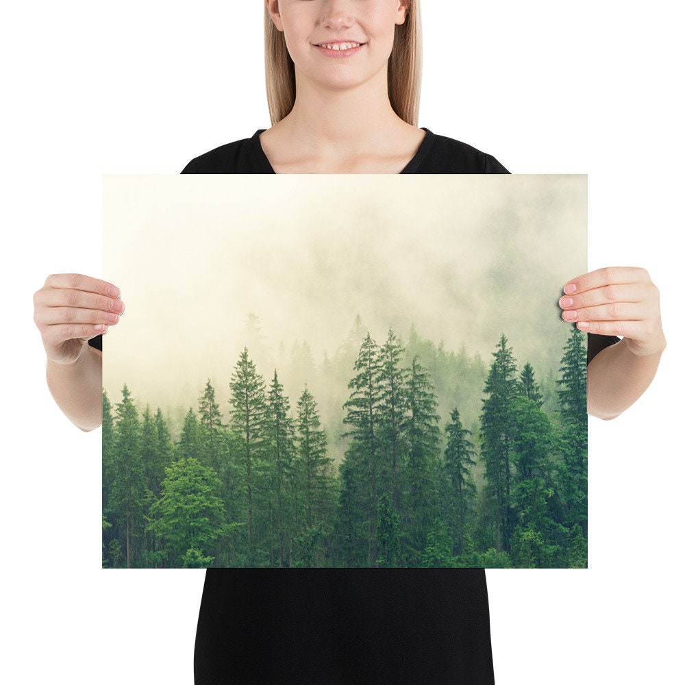 Forest Poster, Poster Forest, Landscape Poster, Poster Landscape ...