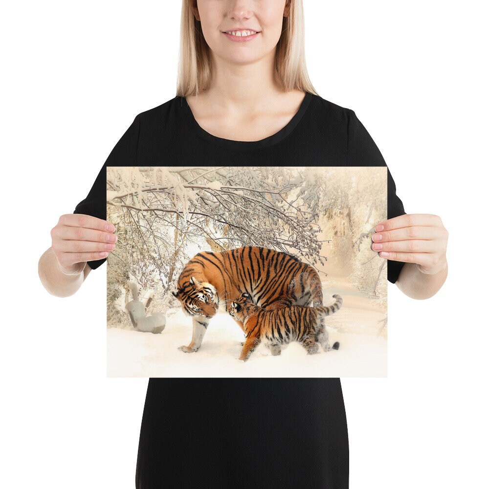 Poster Tiger Poster Print Tiger Cub Tiger Photo Tiger | Etsy