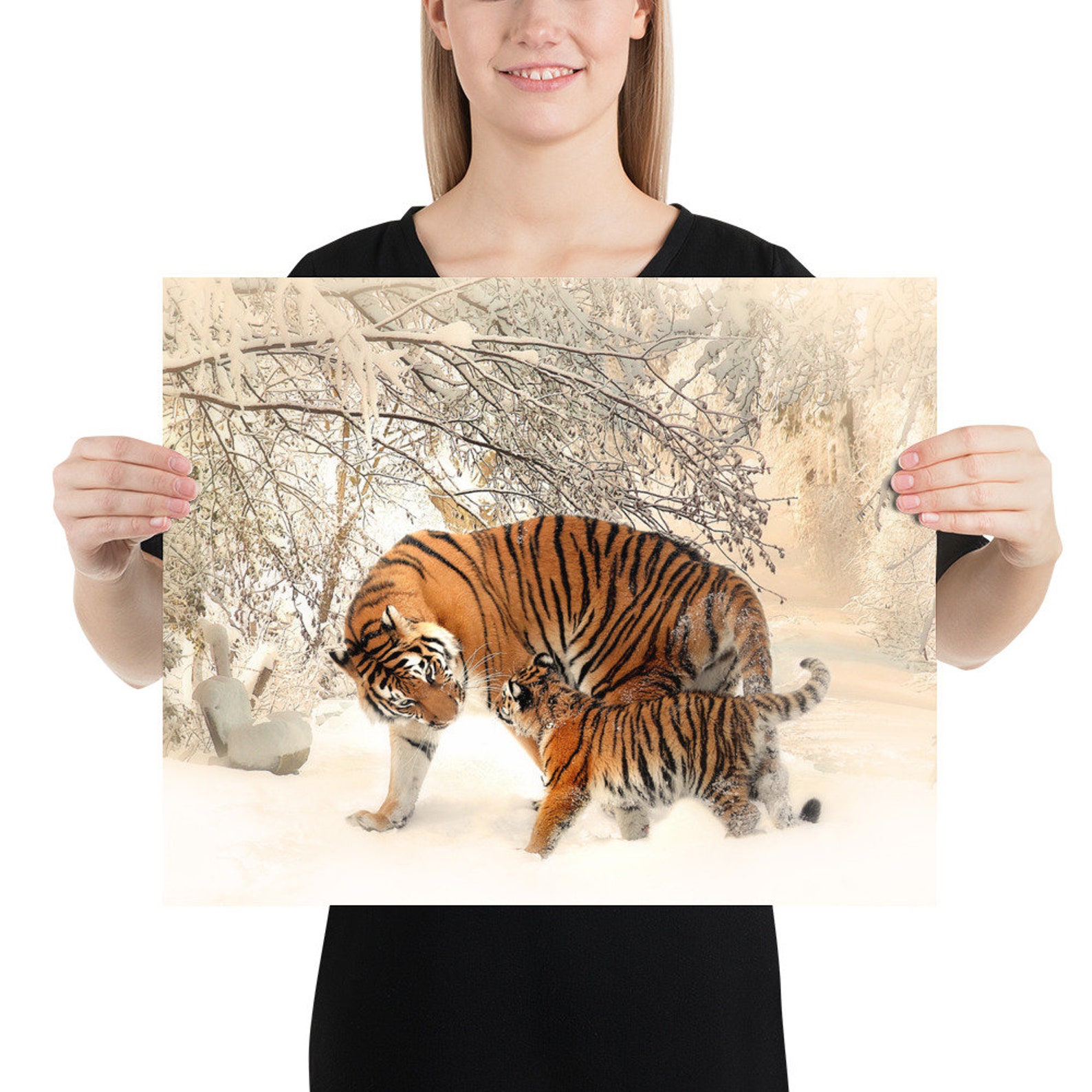 Poster Tiger Poster Print Tiger Cub Tiger Photo Tiger - Etsy