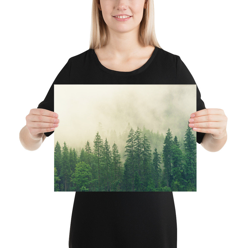 Forest Poster, Poster Forest, Landscape Poster, Poster Landscape ...