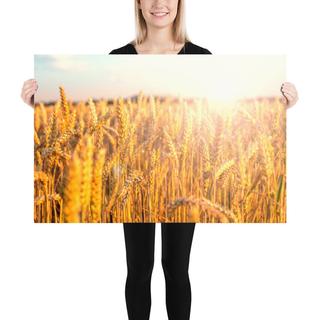 Wheat, Wheat Grass, Wheat Poster, Flower Poster, Plant Poster, Poster ...