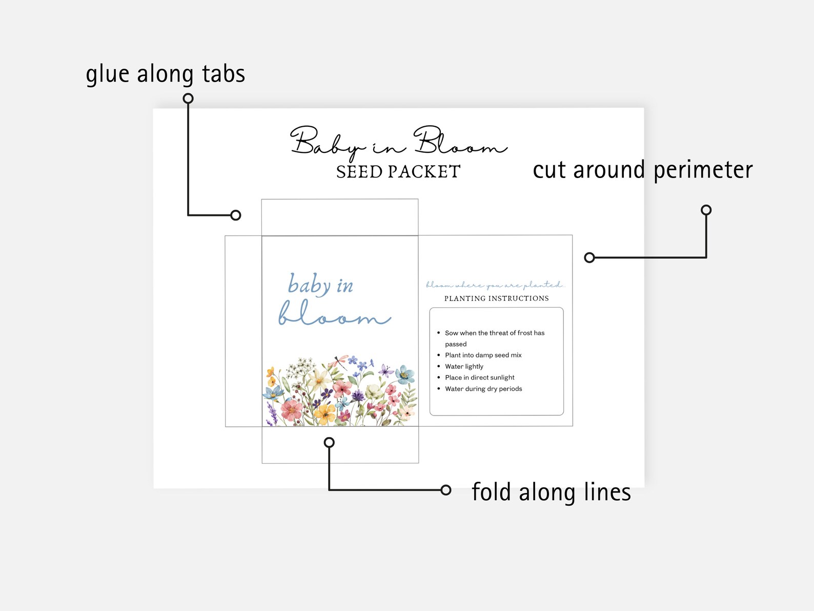 Baby in Bloom, Printable Seed Packet, Baby Shower Seed Packet, Custom ...