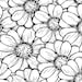 DAISY COLLAGE BW ***clear Cast or White Vinyl Tumbler Wrap - Etsy