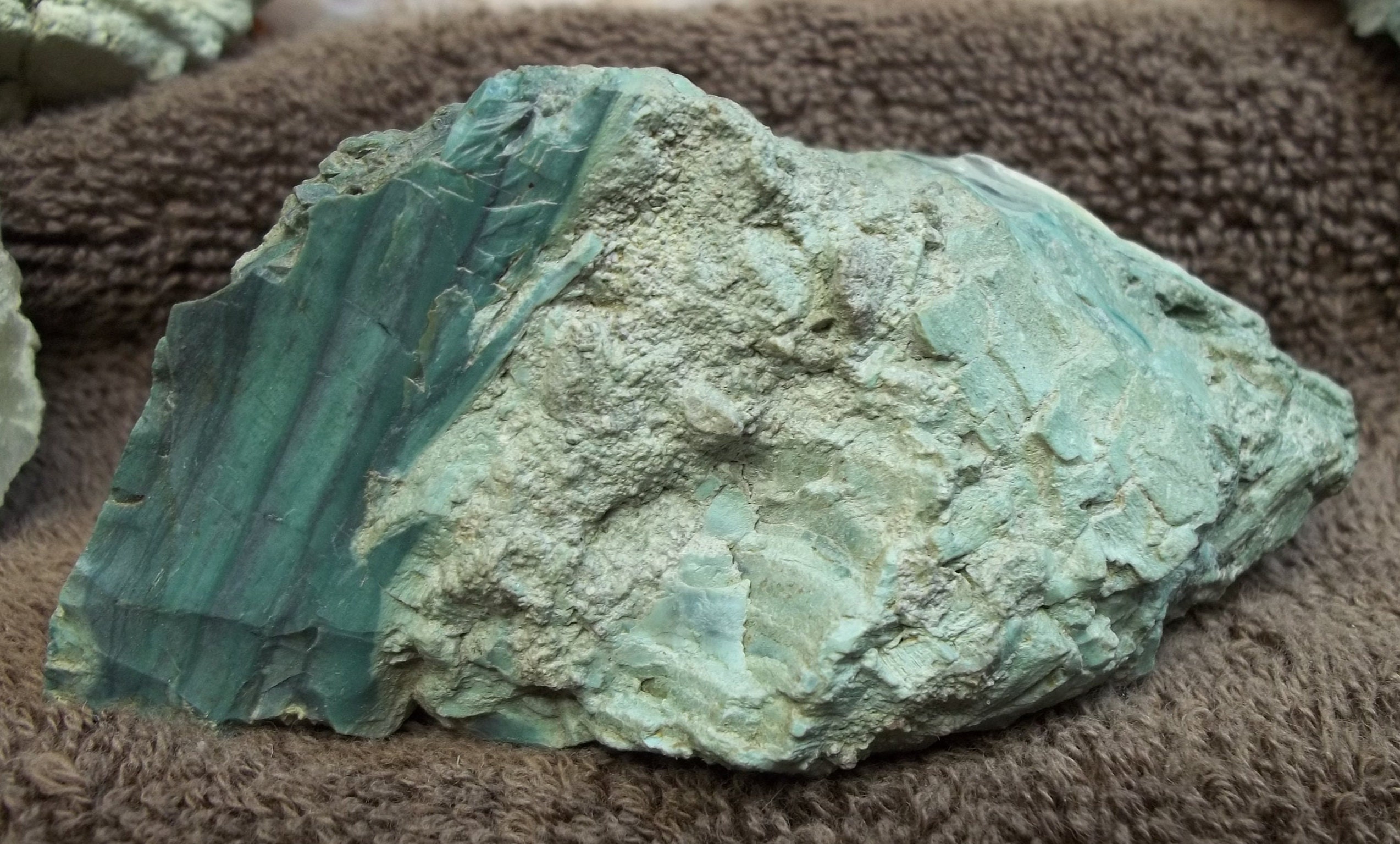 Green Opalized Bog Wood - Etsy