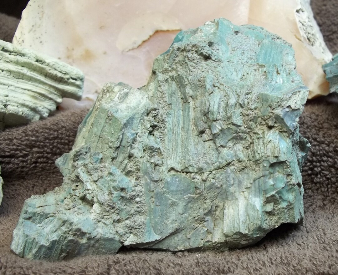 Pretty Opalized Bog Wood - Etsy