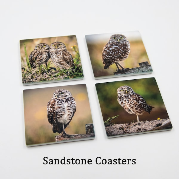 Owl Coasters - Etsy