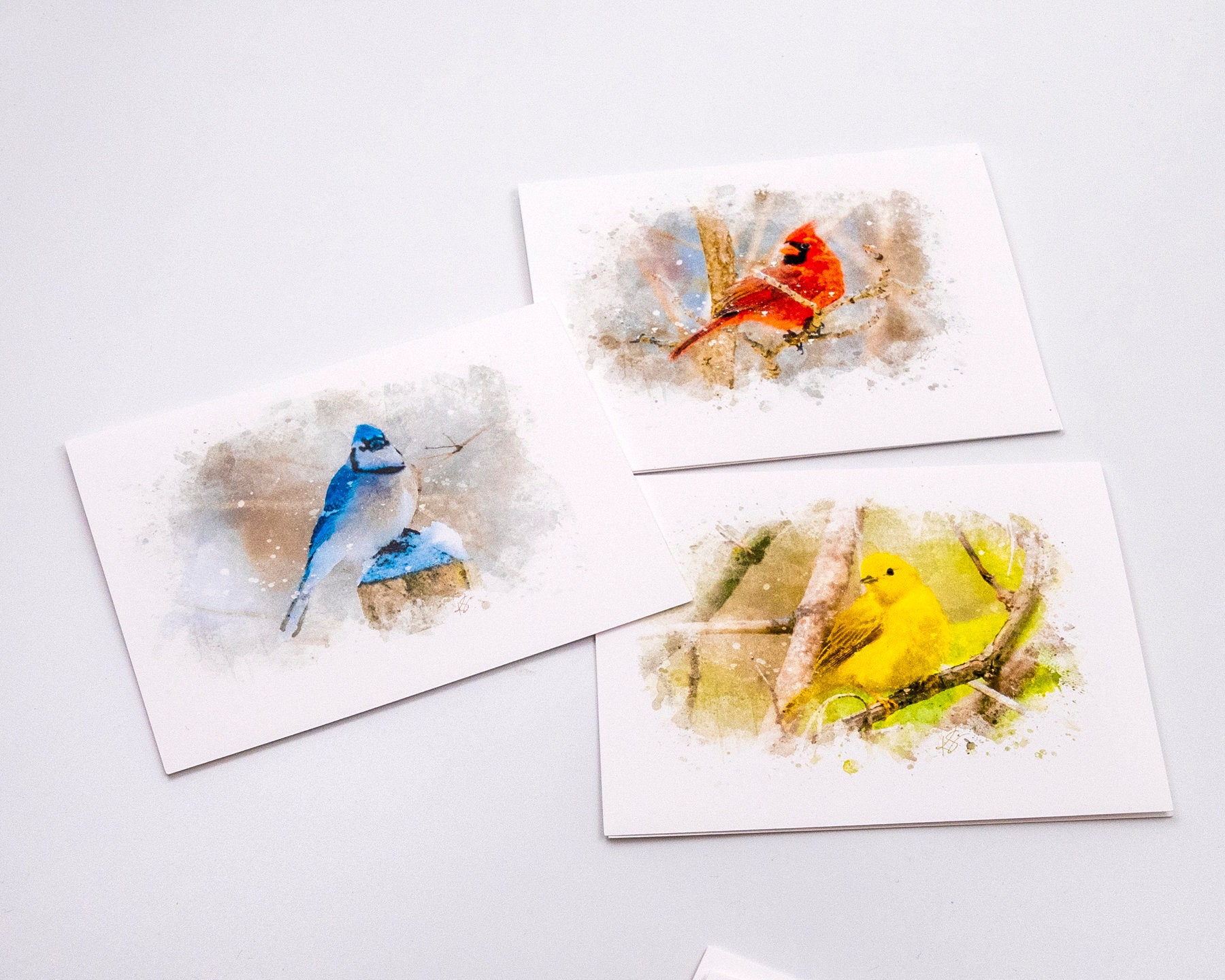 Set of 5 Bird Note Cards - Etsy