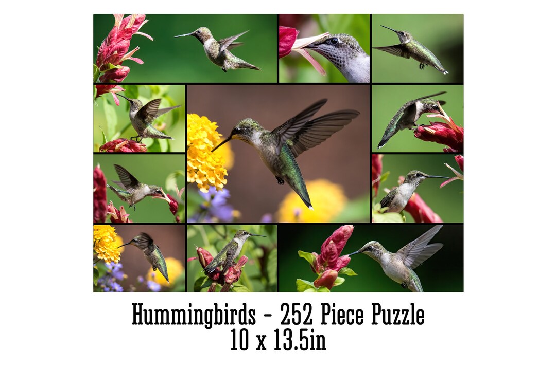 Hummingbirds - 252 Piece Puzzle - Bird Puzzle - Etsy