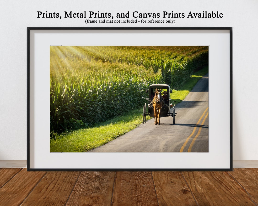 Amish - Pennsylvania Dutch - Prints, Metal Prints, Canvas - Etsy