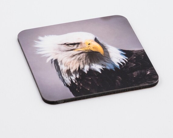 Bald Eagle Coaster Nature Coaster Home & Living Kitchen & Dining Drink ...