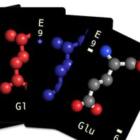 Amino Rummy™ - Etsy