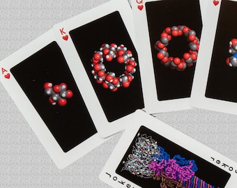 Amino Fish Amino Acid Playing Cards for Biology Education and Biology ...