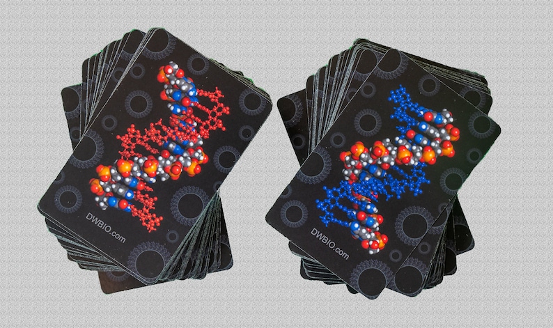 Macromolecule Playing Cards - for Science Education and Biology Gifts ...
