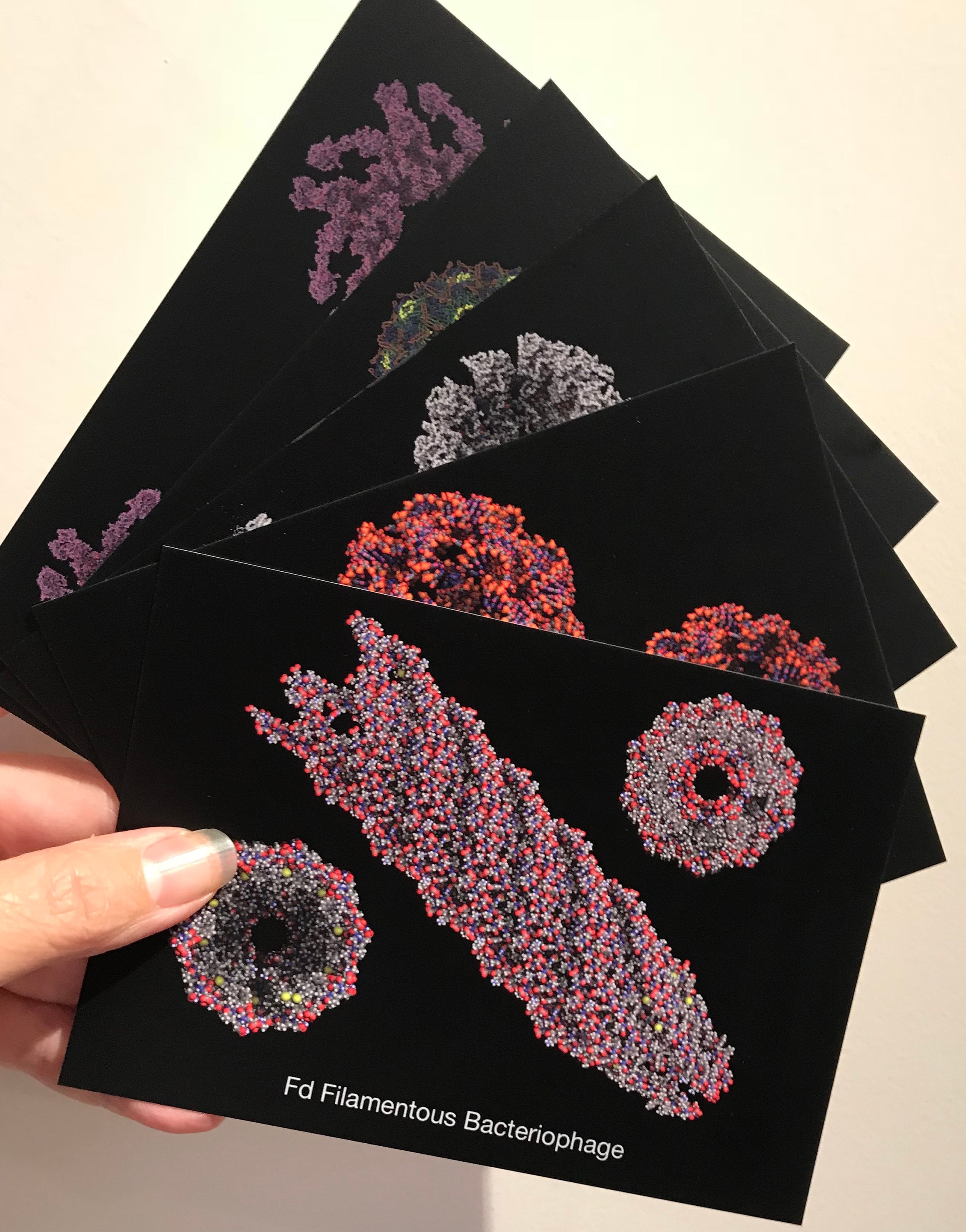 Virus and Phage Postcards - Science Art From Three Bacteriophage ...