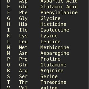 Amino Fish - Amino Acid Playing Cards for Biology Education and Biology ...
