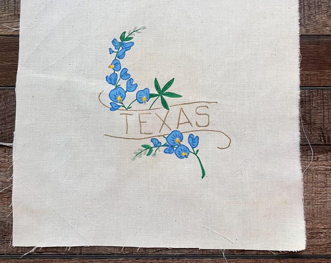 Vintage Texas State Quilt Blocks for Quilting, Sewing, Embroidery, and ...