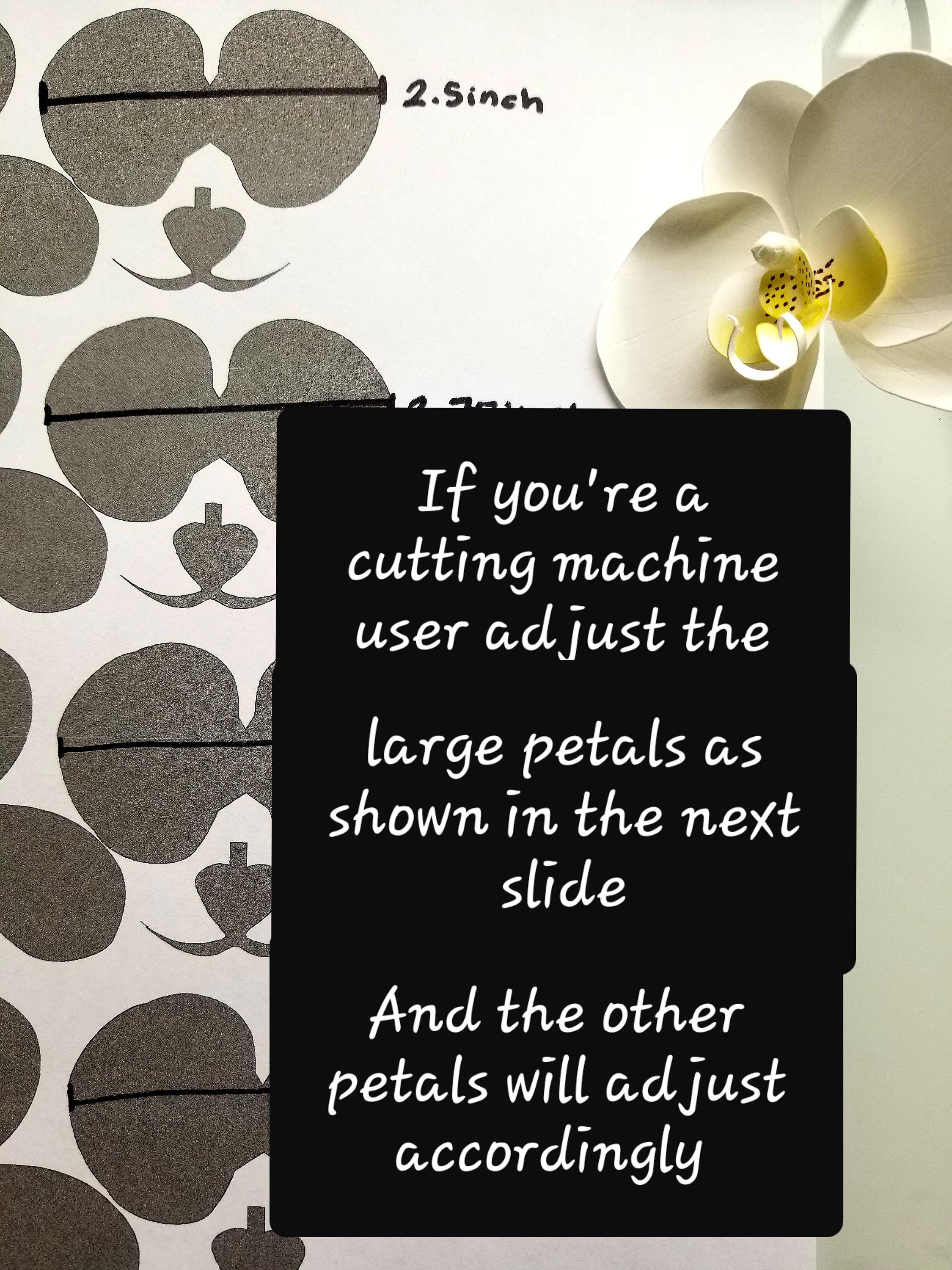 Orchid Template PNG and PDF File With Video Tutorial DIY - Etsy Canada