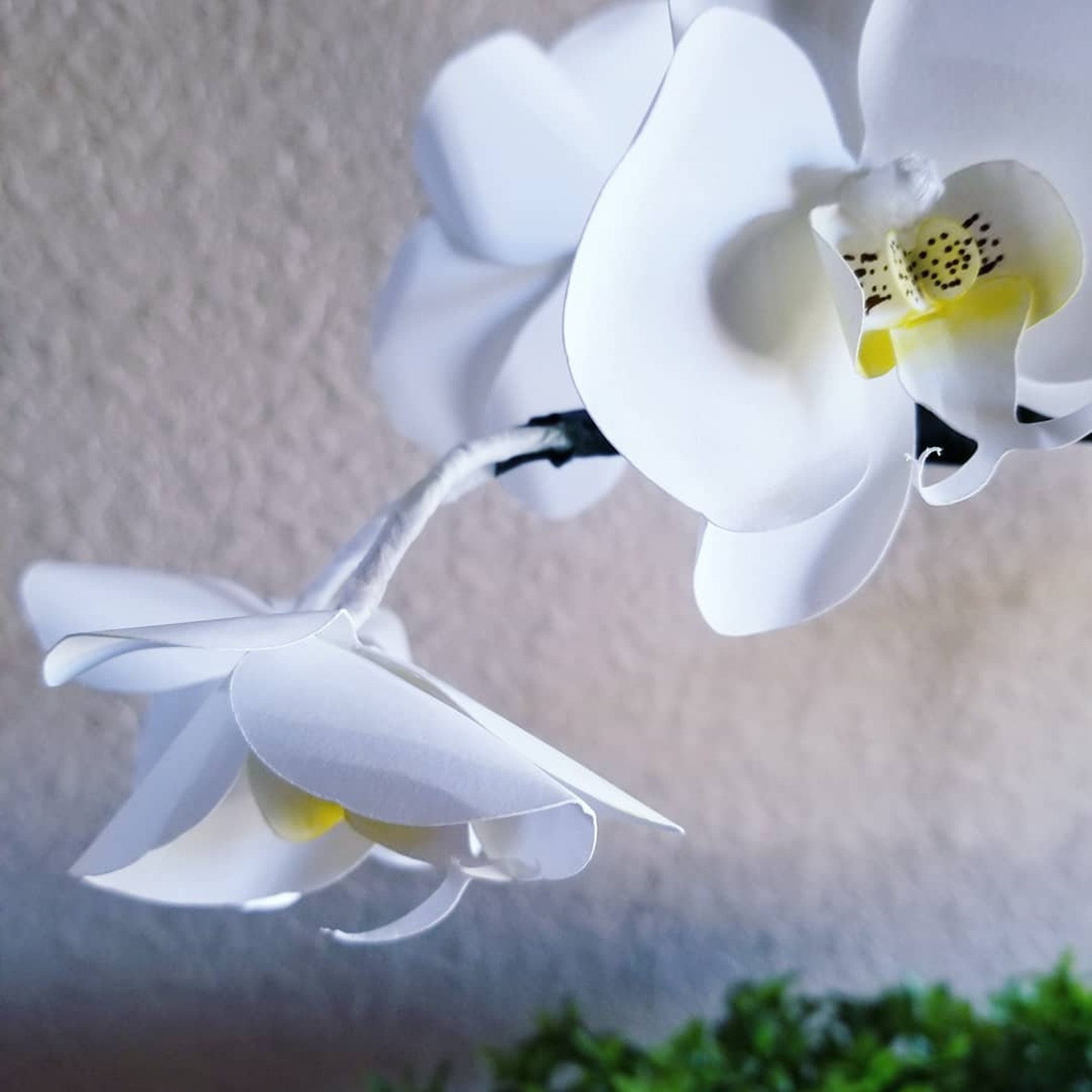 Orchid Template PNG and PDF File With Video Tutorial DIY - Etsy Canada