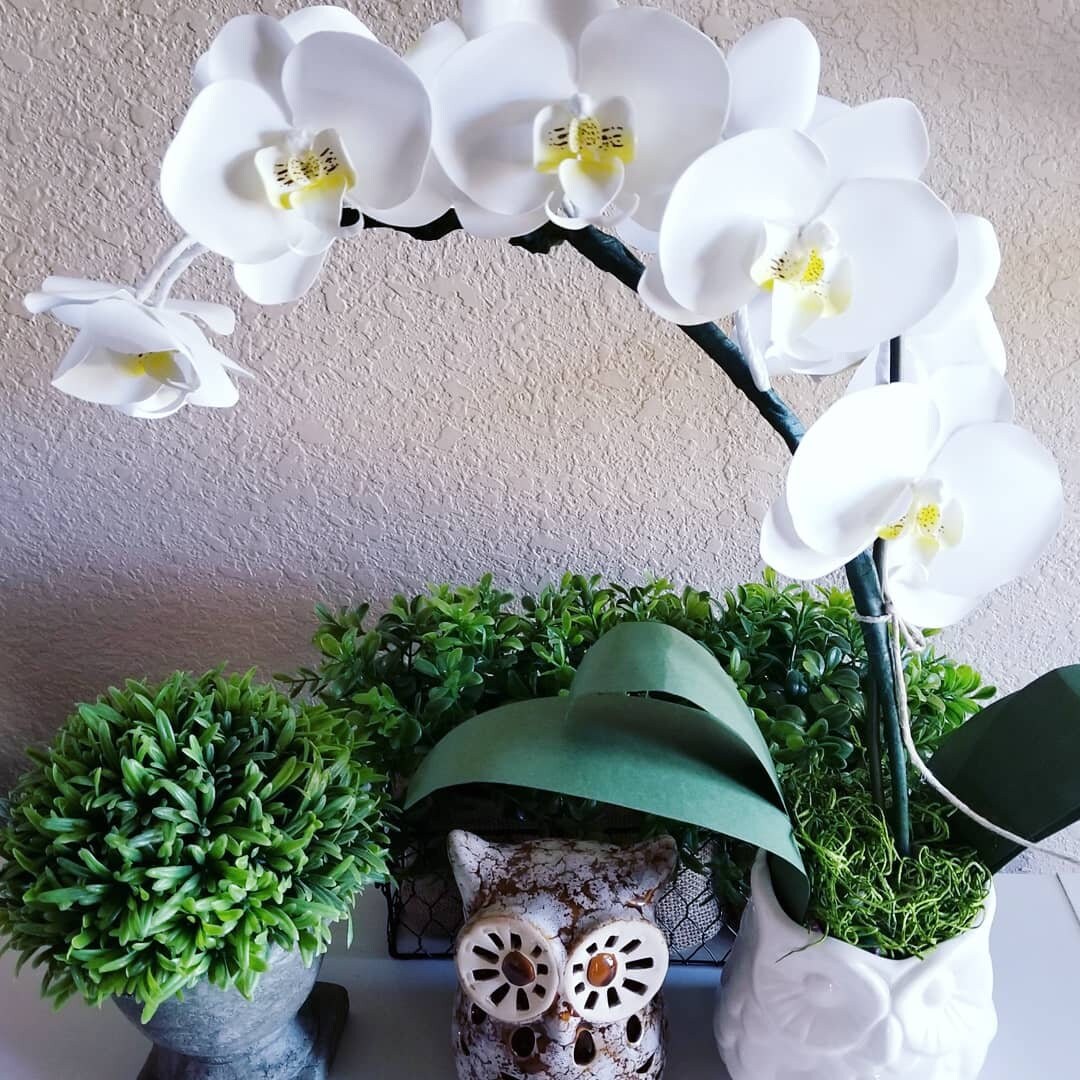 Orchid Template PNG and PDF File With Video Tutorial DIY - Etsy Canada