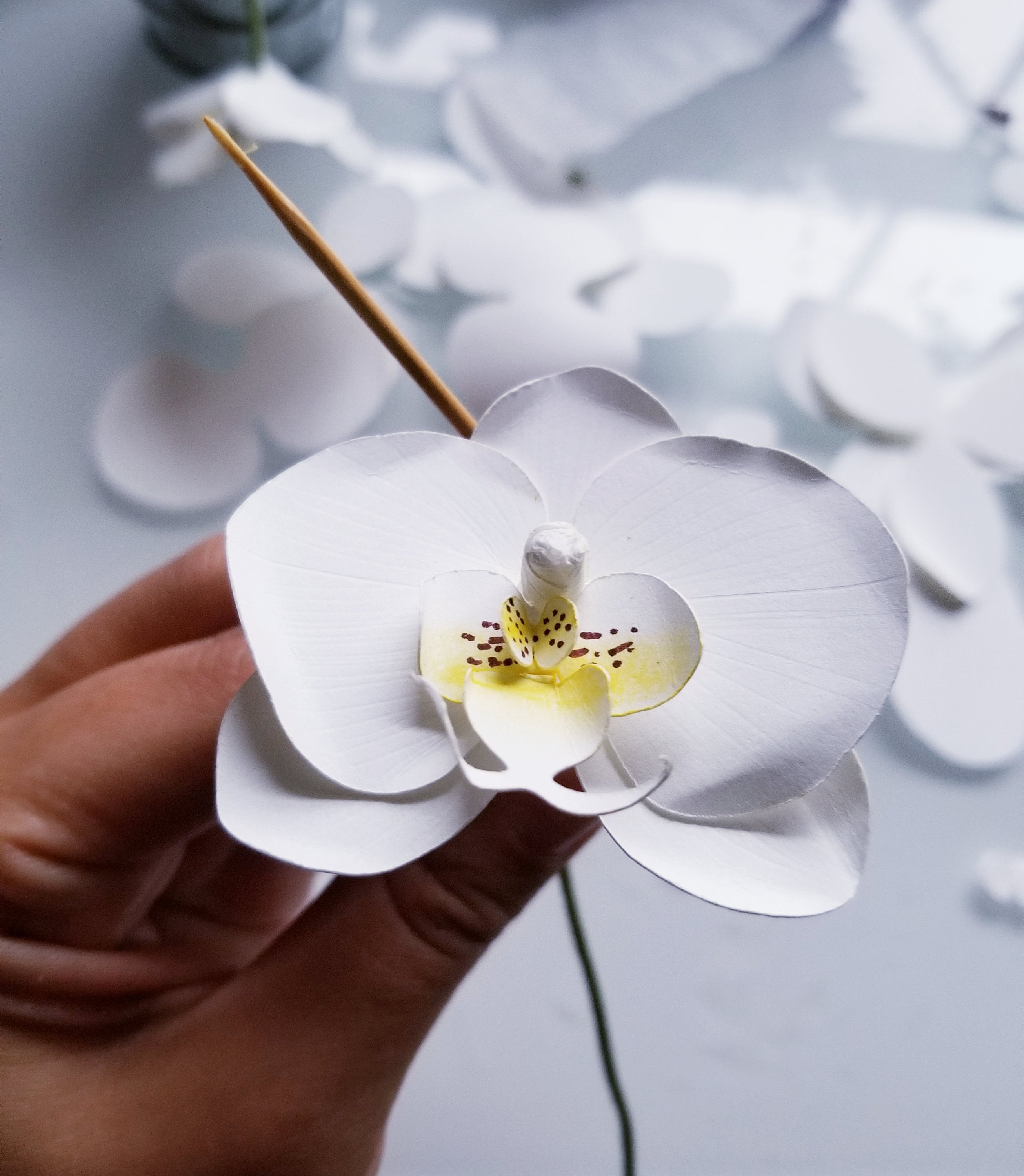 Orchid Template PNG and PDF File With Video Tutorial DIY - Etsy Canada