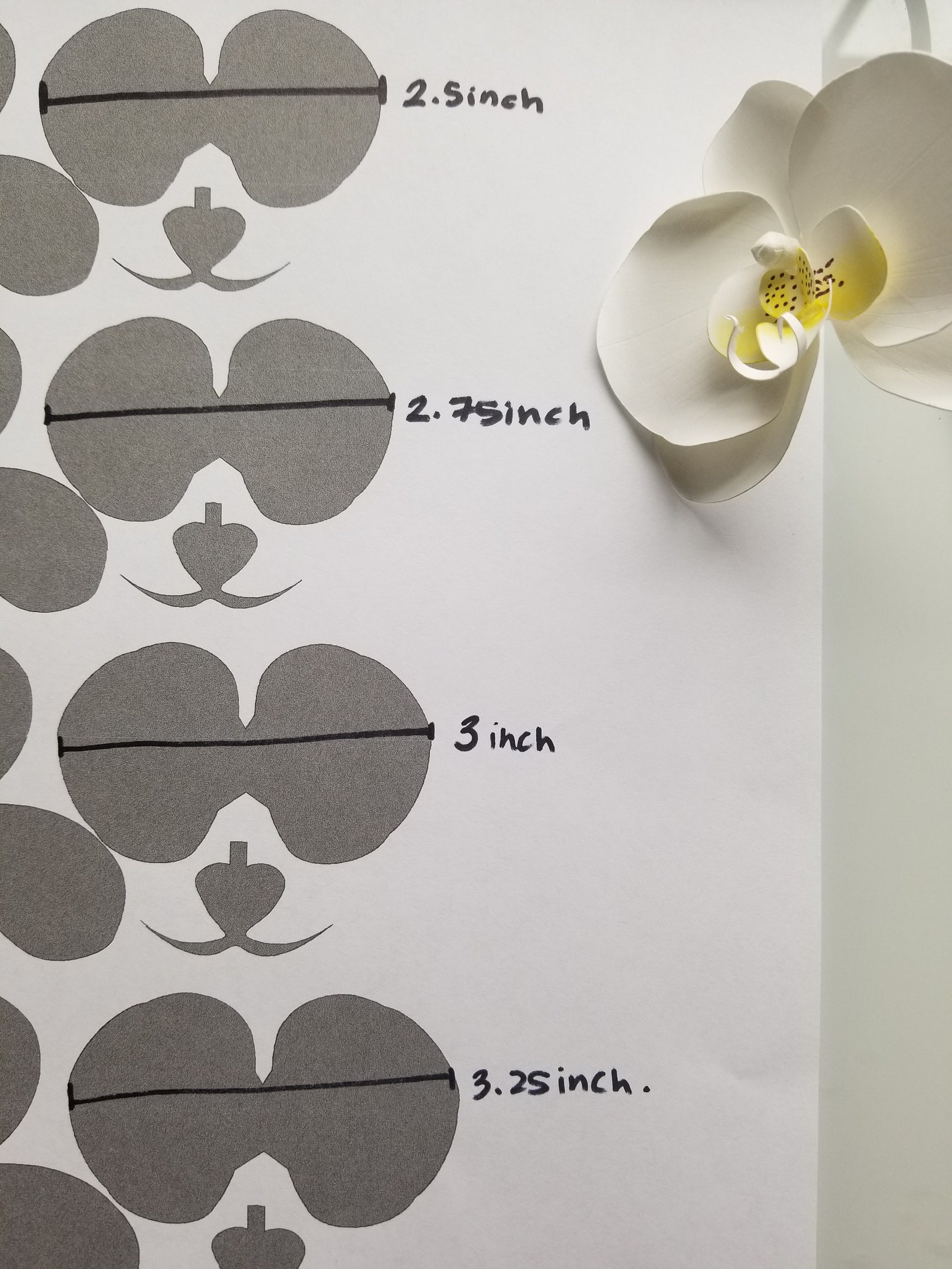 Orchid Template (PNG and PDF File) With Video Tutorial, DIY Template ...