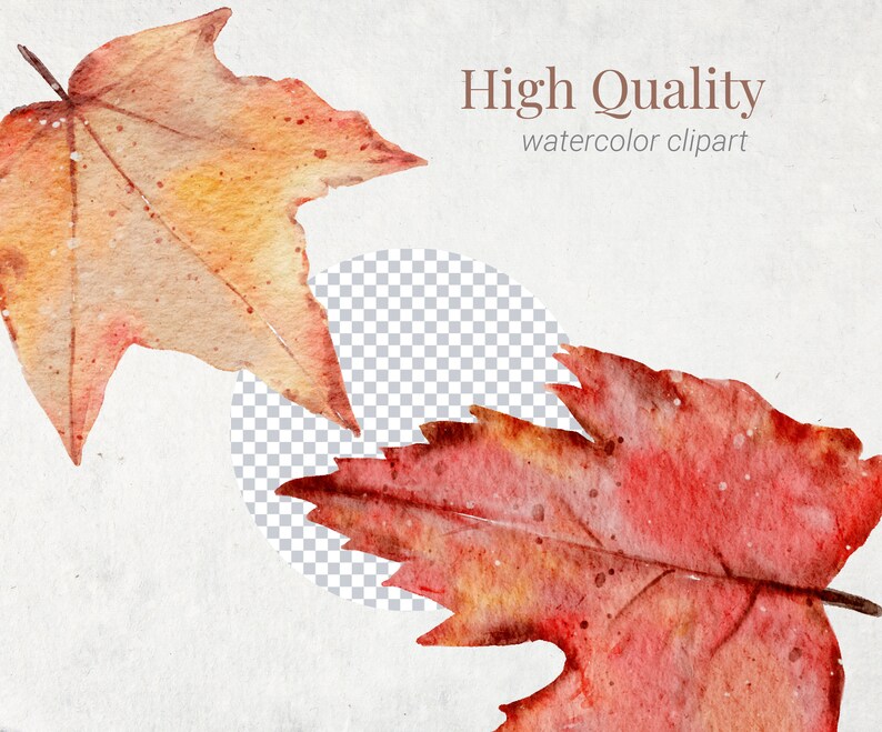 Autumn Leaf Watercolor Clipart, Autumn Clipart, Fall Clipart, Fall ...