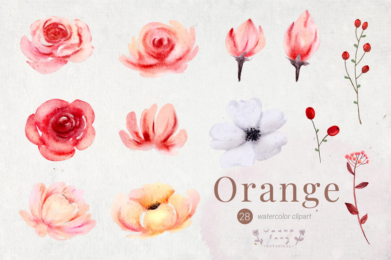 Orange Flower Watercolor Clipart Fruit Watercolor Clipart - Etsy